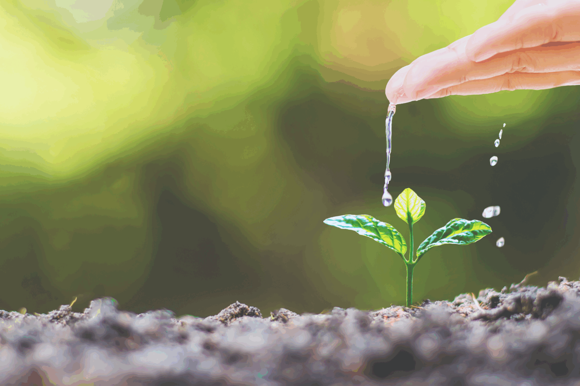 AIIAS Online - Adventist International Institute of Advanced Studies